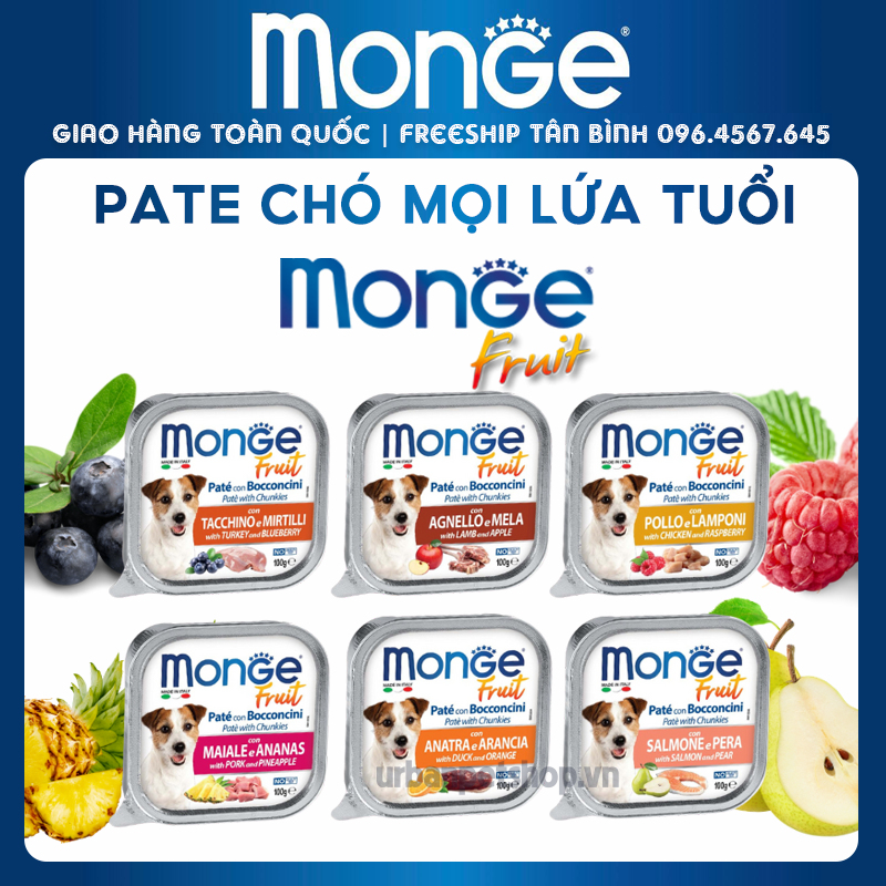 Pate Cho Chó Monge Fruit 100g_Sản Xuất Tại Ý